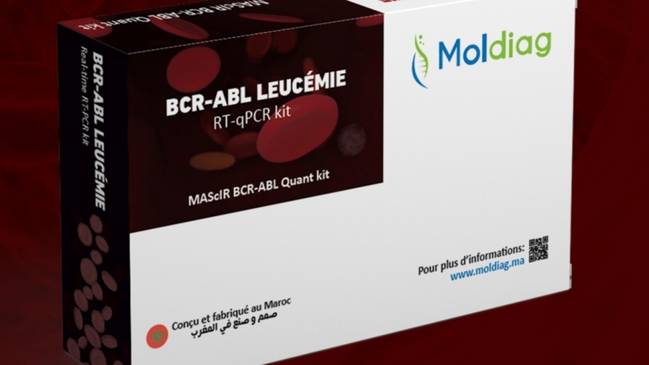 Marokkaanse startup Moldiag lanceert kit voor diagnose leukemie ...