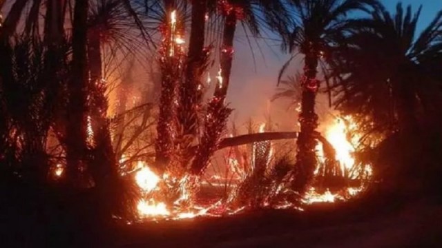 Brand in oase bij Tata onder controle na snelle inzet autoriteiten ...