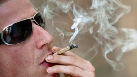 Hasj roken maakt je dommer | Marokko Nieuws