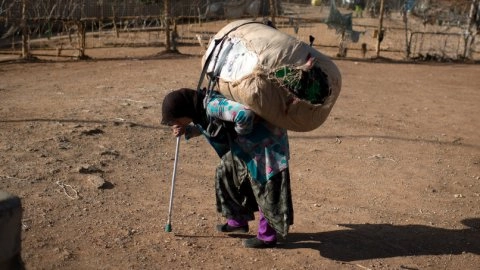 Het trieste verhaal van Marokkaanse 'muilezels' (video) | Marokko Nieuws
