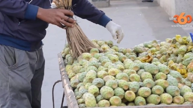 Hendiya: het favoriete fruit van veel Marokkanen in de zomer (video ...